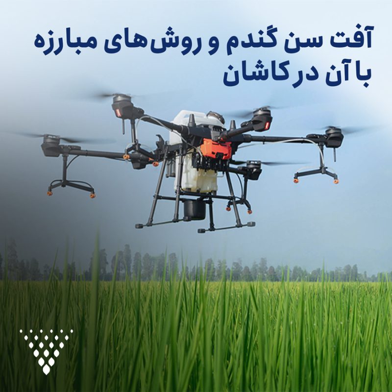 مبارزه با آفت سن غلات با استفاده از پهپادهای کشاورزی در کاشان | شرکت ...