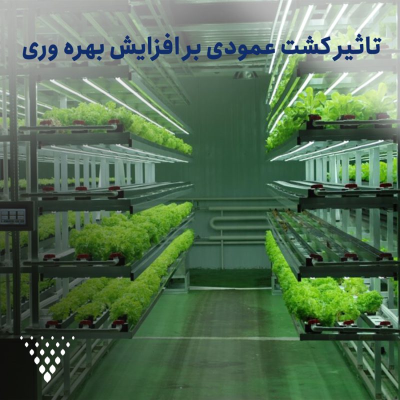 تاثیر کشت عمودی بر افزایش بهره وری | شرکت پاژن طراح و تولید کننده انواع ...