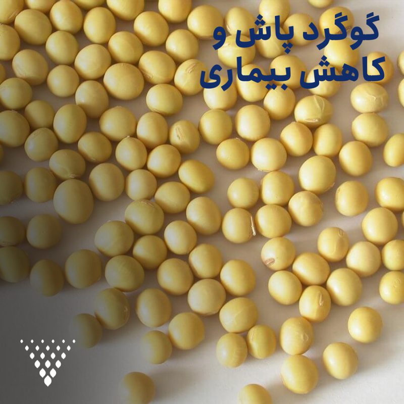 نقش گوگرد پاش در کاهش بیماری‌های زمستانه گیاهان | شرکت پاژن طراح و ...