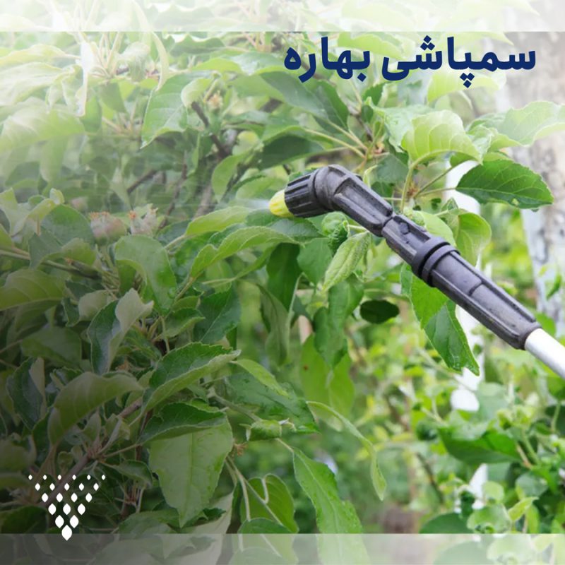 سمپاشی بهاره | شرکت پاژن طراح و تولید کننده انواع سمپاش باغی و زراعی