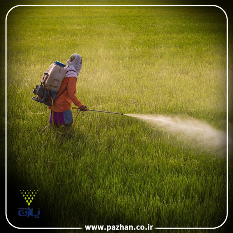 راهنمای تنظیم فشار در سمپاش‌ها برای بهترین عملکرد | شرکت پاژن طراح و ...